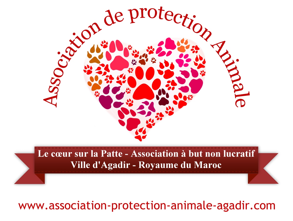 logo-association-protection-animale-agadir | From biking to twiking to ...